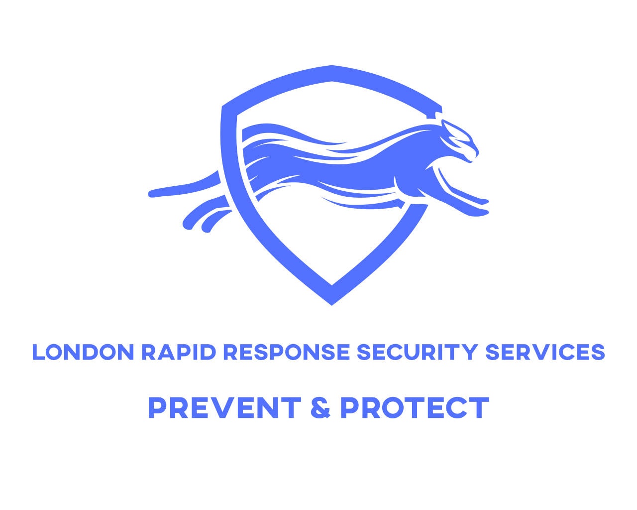 Services | London Rapid Response Security Services